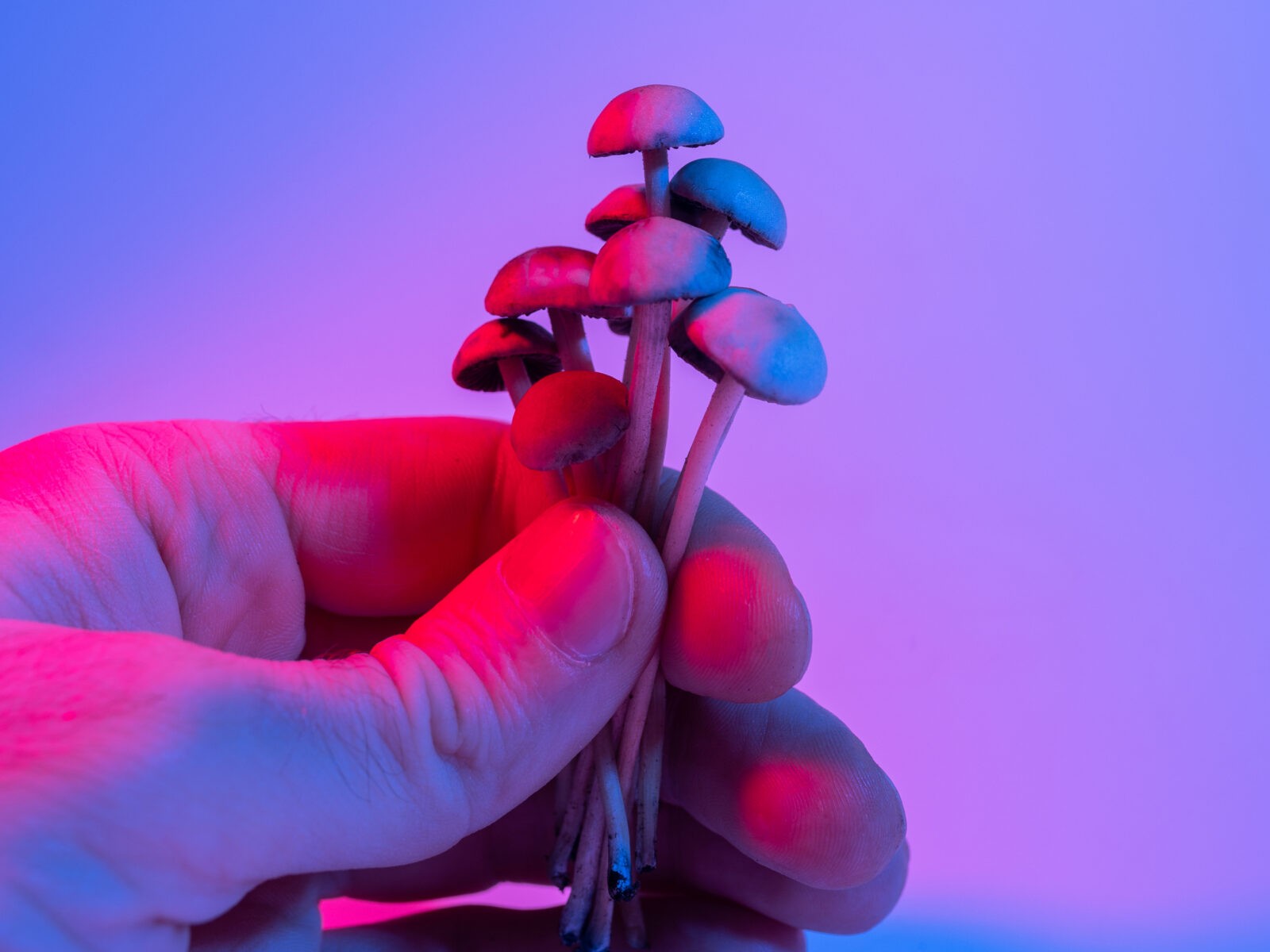 Doctors slam TGA's looser psychedelic therapy rules as 'unjustifiable ...