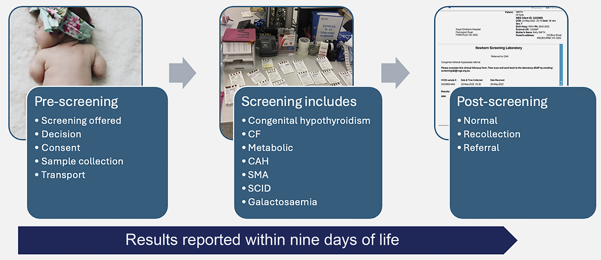 A GP guide to newborn bloodspot screening | AusDoc