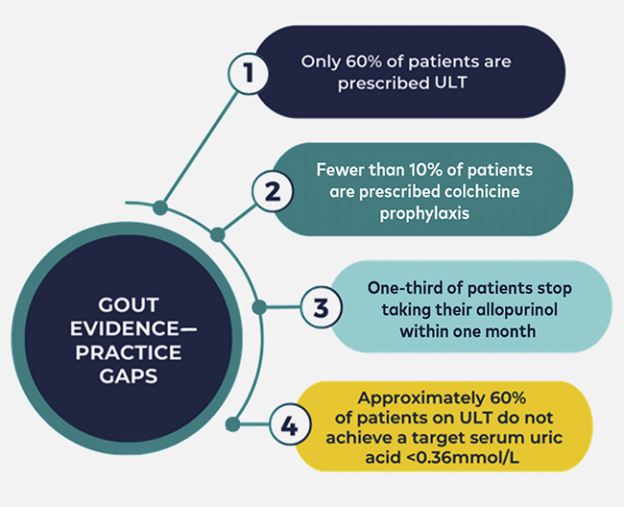 A GP guide to managing gout | AusDoc